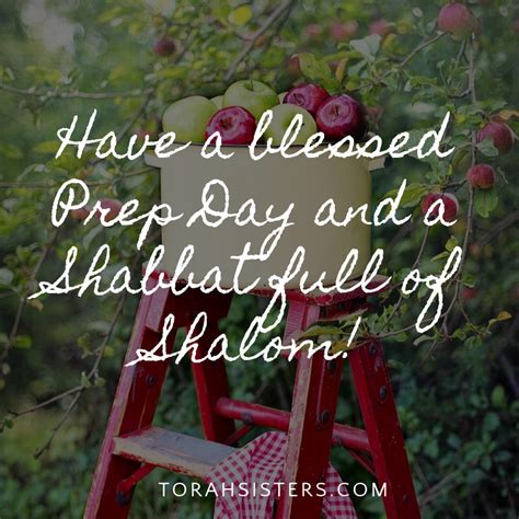 Prep Day Memes Torah Sisters