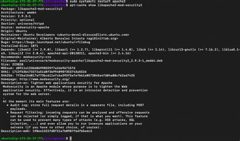 Apache Server Security Guide For 2024 Step By Step Backups To Logs