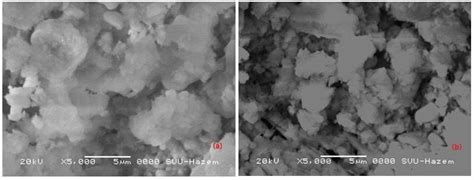 sem of coated samples a and uncoated samples b in scales 5 µm