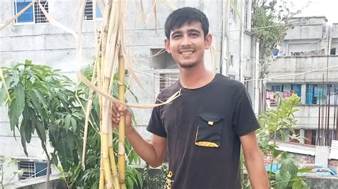 ছাদ বাগানে আখ চাষ Youtube