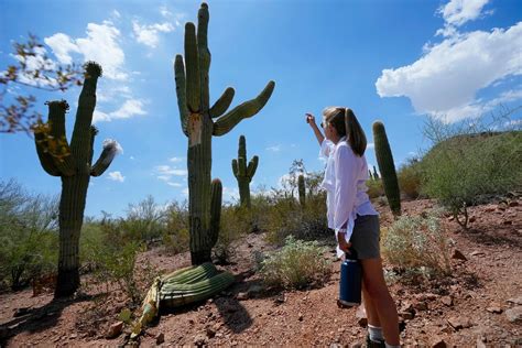 Mujer De Nacionalidad Colombiana Falleció Por Calor En El Desierto De