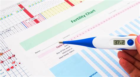 Fertility And Ovulation Tracking Methods Pink Stork