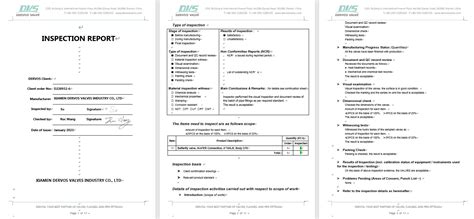 API Triple Eccentric Butterfly Valve IN CL CF Dervos