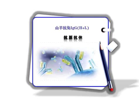 羊抗兔igg Hrp 山羊抗鼠igg 山羊抗兔igg 抗体购买 苏州阿尔法生物