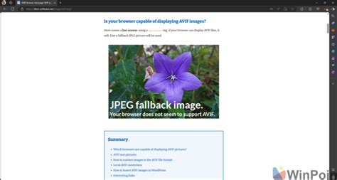 Microsoft Edge 121 Dirilis Hadirkan Dukungan Avif Dan Av1 Winpoin