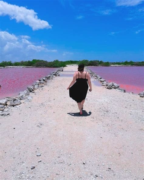 10 Best Merida Mexico Beaches In The Yucatan Peninsula Merida Mexico