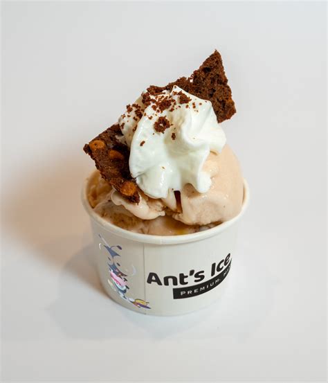 Sea Salt Caramel Ants Ice Cream