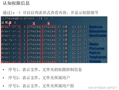 Linux深度学习：除基本命令操作外的实用操作 Csdn博客