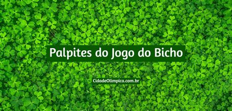 Palpites Do Jogo Do Bicho De Hoje