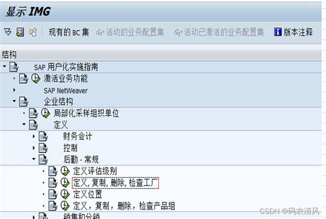 Mm配置1 定义、复制、删除、检查工厂sap复制工厂注意事项 Csdn博客