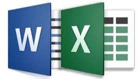 ENTRY DATA MS OFFICE