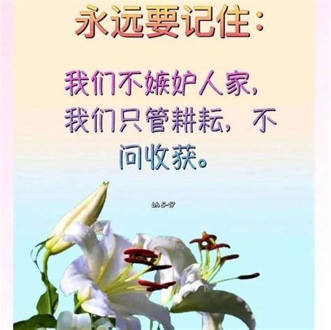 一段深思的人生感悟聪明人心气小事情