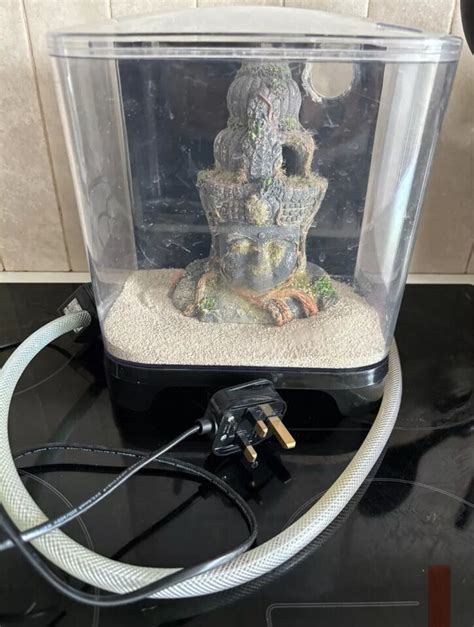 Aqua Oak Large Cube Aquarium And Cabinet Tank Unit Fluvial Fx 4 Filter Lights Ebay Uk