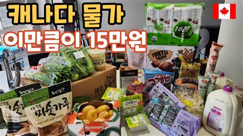 캐나다 장바구니 캐나다 생활 5년차 주부의 식비 절약하는 법 캐나다 사는 한인 가족 일상 브이로그🍁74 31개월 쌍둥이 육아 Youtube