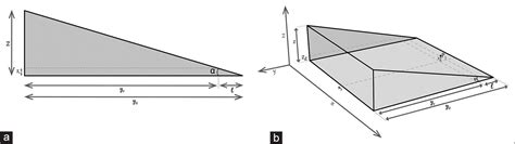 Surgical Neurology International