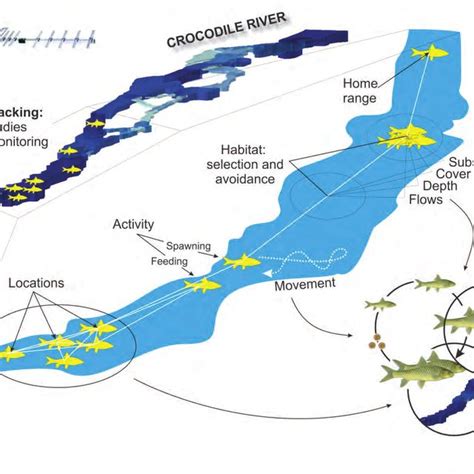 Schematic Representation Of A Wireless Wildlife Manual Monitoring Download Scientific Diagram