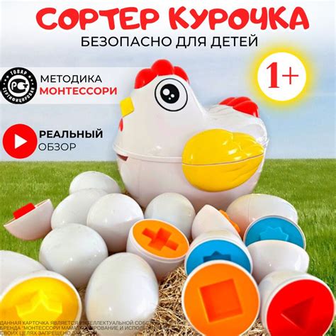 Сортер монтессори/курочка с яичками/сортер для малышей, развивающие ...