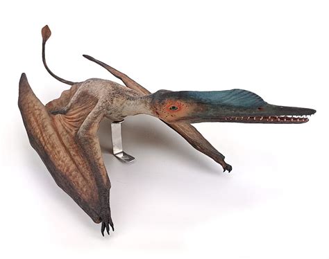 Darwinopterus 1 1 By Galileo Hernandez Sculpted By By Ga… Flickr