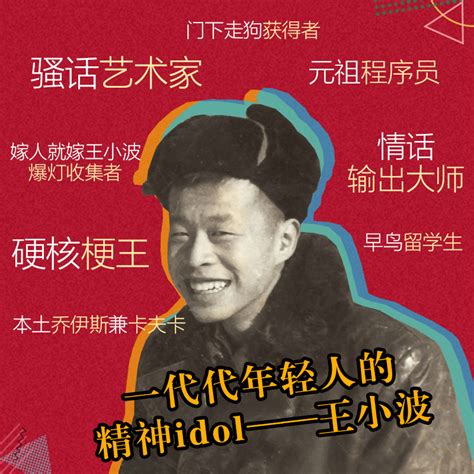 一只特立独行的猪王小波精装纪念版我的精神家园沉默的大多数现当代文学散文随笔读物杂文集畅销书排行榜安徽新华正版虎窝淘