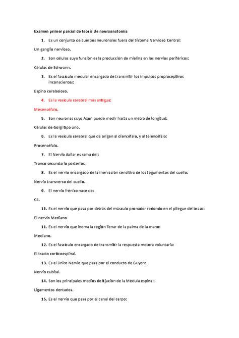Examen Primer Parcial De Teoría De Neuroanatomía Es Un Conjunto De