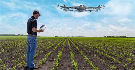 How Do Drone Seeding Help Create New Forests