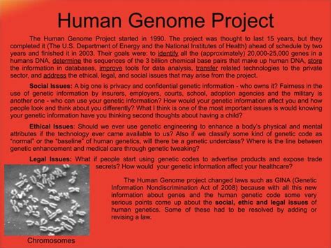 Organ Cloning Project Revised Ppt