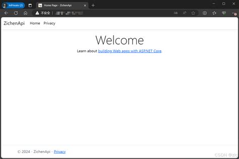 C Aspnet Core 网页样式丢失，样式不对c做的mvc项目打开网页样式突然都没了 Csdn博客