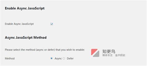 Wordpress异步加载javascript插件：async Javascript 腾讯云开发者社区 腾讯云