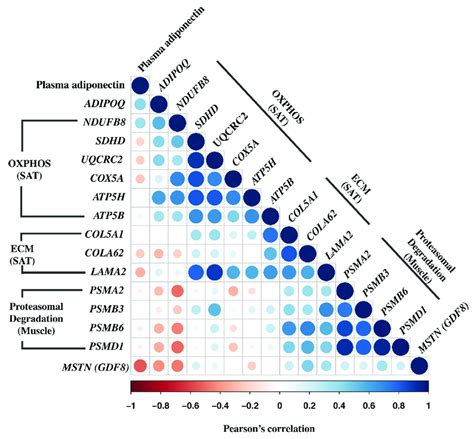 Correlation Matrix Of Gene Expression Levels Of Differently Regulated