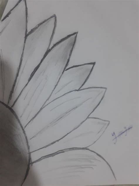 رسم ورده