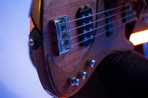 Bass Stringed Instruments Explained Choosing The Right One For You