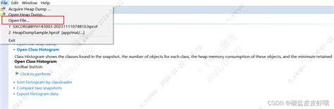 Java程序中使用memoryanalyzer分析内存泄漏的原因memory Analyzer分析 Csdn博客