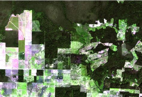 Create A Deep Learning Model For Geospatial Data By Felipemp27 Fiverr