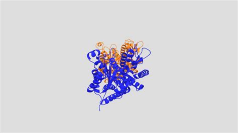 Alpha Tubulinbeta Tubulin Heterodimer 3d Model By Drsmashy 9232e66