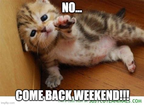 Come Back Meme
