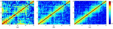 Coherence Matrix Estimation With A Window Of 55 Pixels A Sample