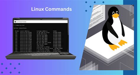 step into linux your comprehensive guide to starting with linux
