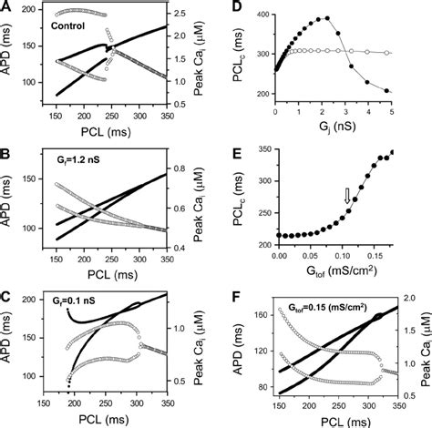 Effects Of Fibroblast Myocyte Coupling On Calcium Driven Alternans In