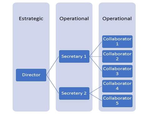 distribution at organizational levels source authors 2019
