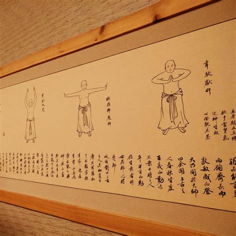 “无极养生桩”详细教程想了解吗？ 知乎