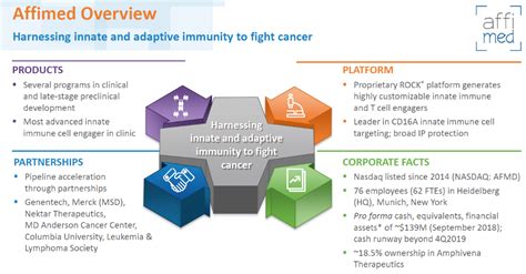 Affimed Promising Undervalued Immunotherapy Play With Multiple
