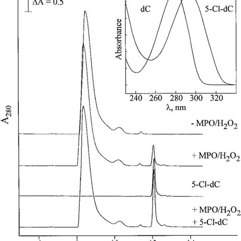 Reverse Phase HPLC Chromatogram Of Deoxycytidine Oxidized By Download Scientific Diagram