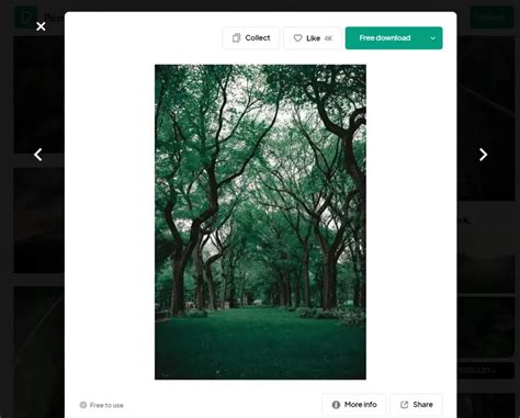 how to add a wordpress gallery lightbox [ 4 easy steps ]