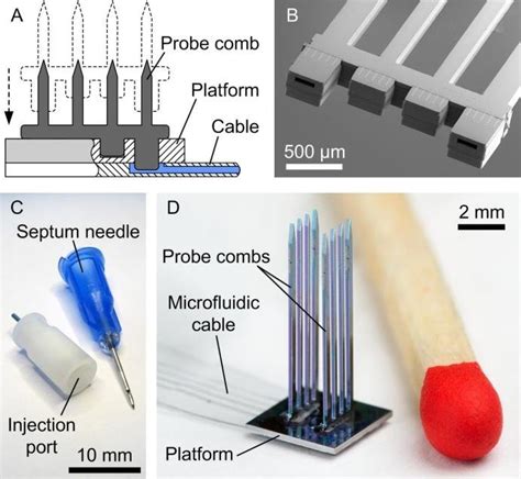 Floating Microprobe Array A Illustration Of The Comb Assembly Into The Download Scientific