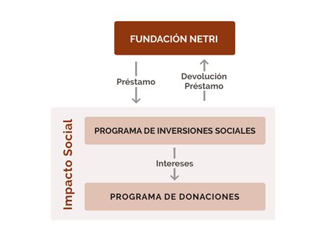 Modelo Fundación Netri