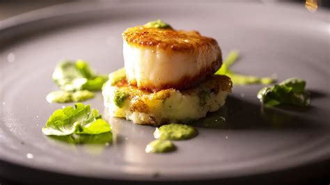 6 Manfaat Scallop Untuk Kesehatan Dilengkapi Cara Mengolah Yang Benar