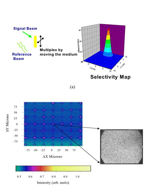 A And B A Selectivity Map For A Single Cm Recorded Hologram B An Download Scientific Diagram