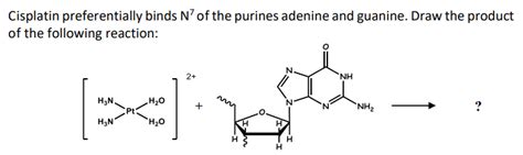 Solved Cisplatin Preferentially Binds N7 ﻿of The Purines