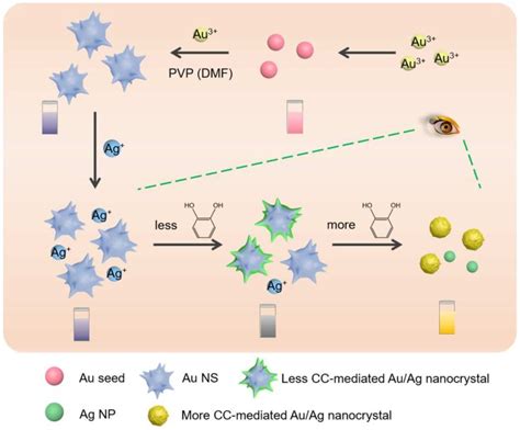Chemosensors Mdpi On Linkedin Communication Goldnanostar Colorimetric Catechol…