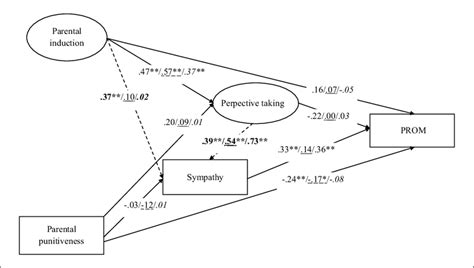 the hypothesized structural model showing the multigroup sem results by